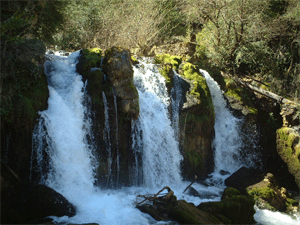 AARON GALEANA: RECURSOS ECOLÓGICOS DE MEXICO
